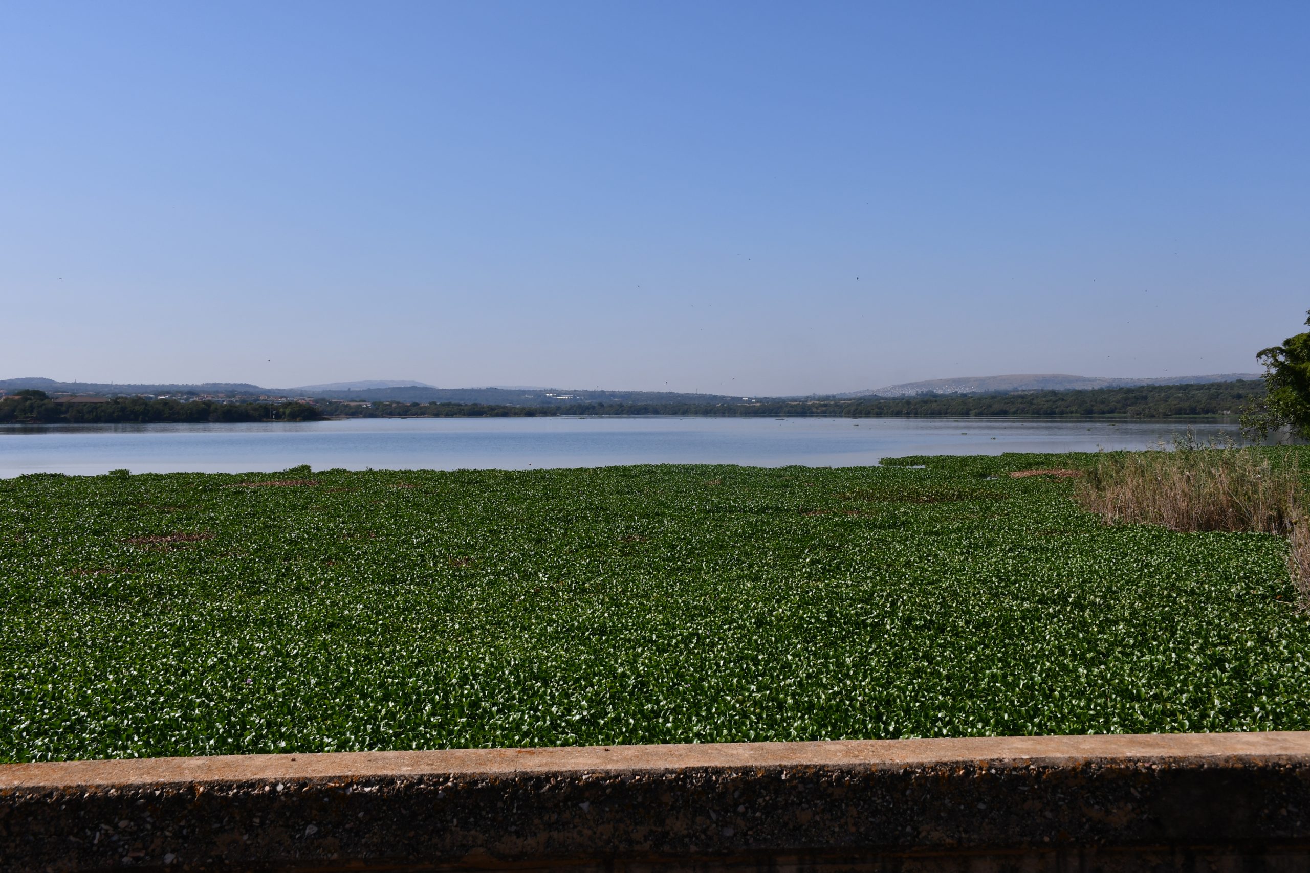 NatSilt – National Siltation Management Strategy for Dams in South Africa